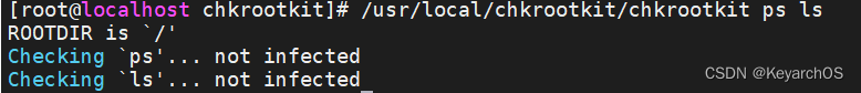 [KeyarchOS]Chkrootkit后门检测工具的安装-CSDN博客