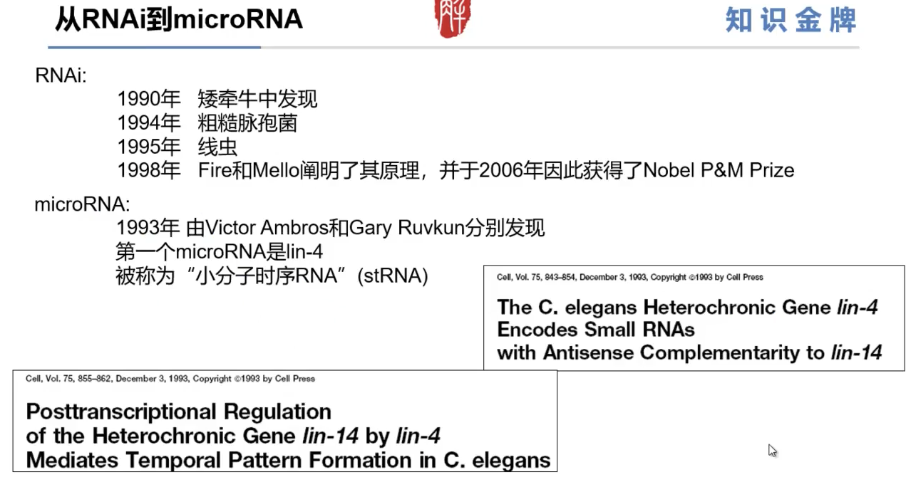 【基因组学】非编码RNA基础-microRNA_mirna序列生物素标记在3端还是5端-CSDN博客