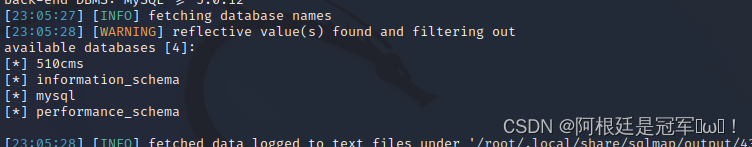sqlmap的详细介绍_sqlmap是什么-CSDN博客