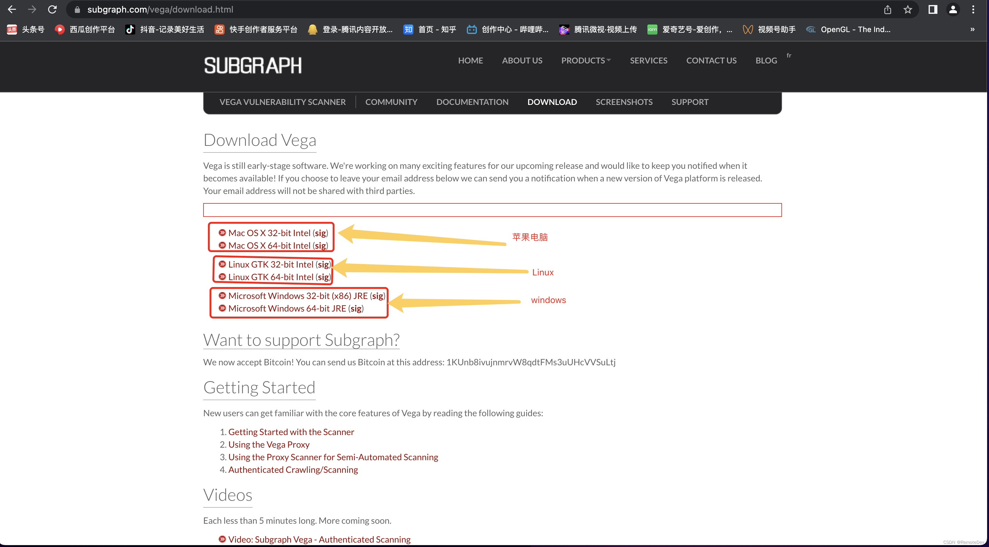 国内如何下载Vega_vega al pc版-CSDN博客