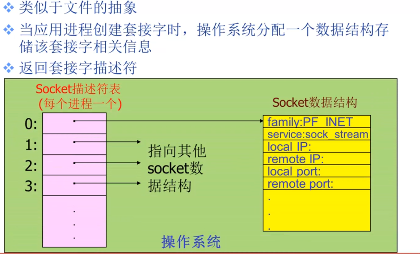 Socket编程-应用编程接口（API）--套接字（及其函数介绍）_socket api-CSDN博客