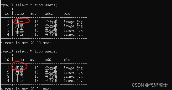 使用gorm操作数据库gorm Pgsql Csdn博客 1382