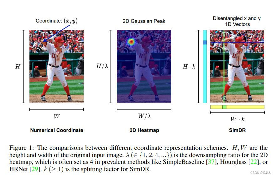 【MMPose】在HRNet应用SimDR（SimCC）/Part.2-流水线篇（Pipeline）-CSDN博客