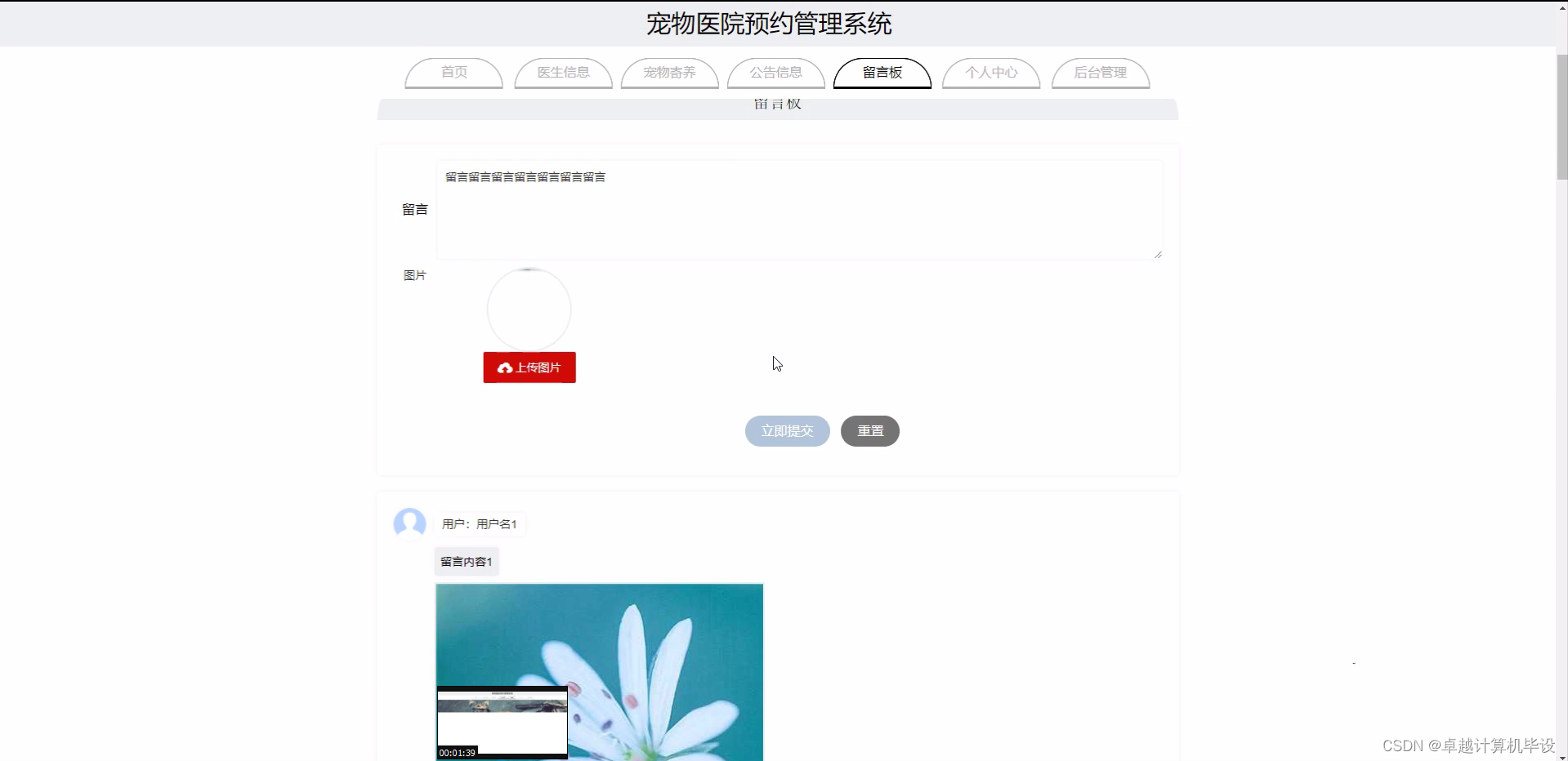 【开题报告】springboot宠物医院预约管理系统5l5a0计算机毕业设计宠物医院预约系统的研究内容 Csdn博客