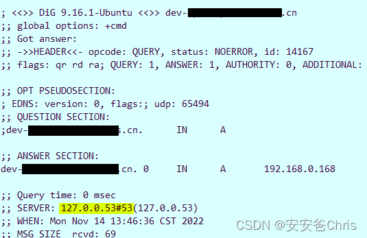 【linux】自定义nameserver_linux nameserver-CSDN博客