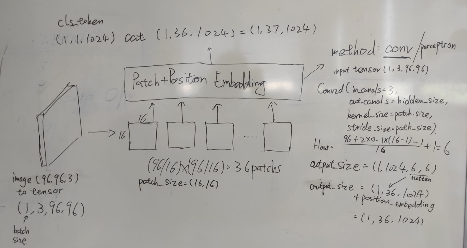 [pytorch] monai Vit 网络 图文分析-CSDN博客