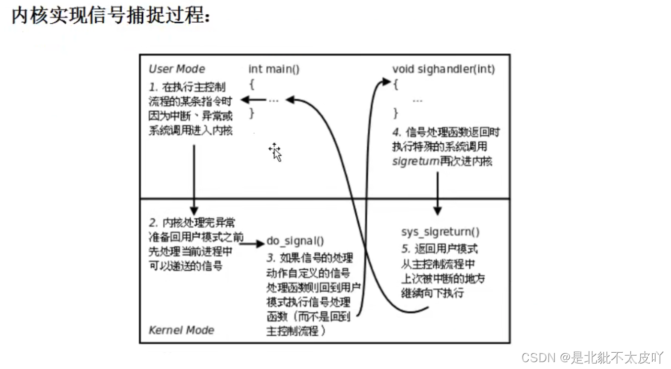 Linux系统编程之信号的捕捉 Linux Sigaction 注册多个信号 Csdn博客