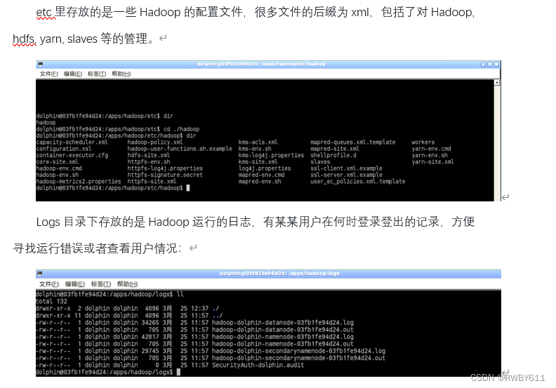 Hadoop-HDFS基本操作和入门知识_为什么不直接用本地文件系统,而要用 hdfs 文件系统-CSDN博客