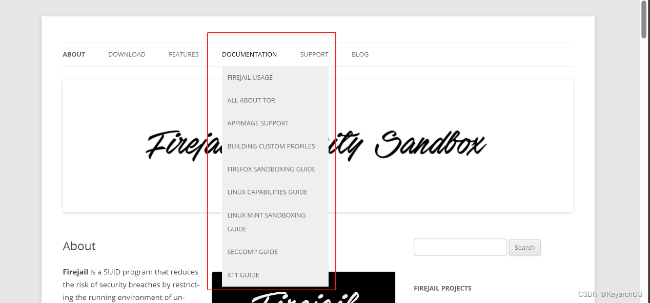 【KeyarchOS】野火Firetools 下载及安装教程-CSDN博客