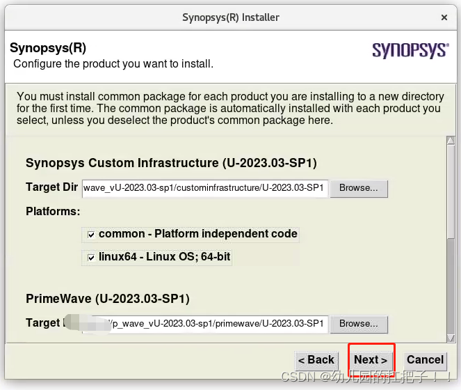 Synopsys EDA工具安装 -------- Custom WaveView_costom waveview-CSDN博客