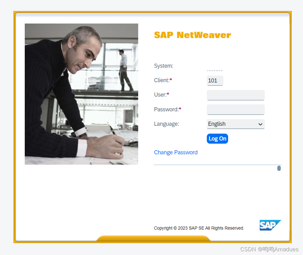 SAP系统的几种访问（登陆）方式_sap系统登录-CSDN博客