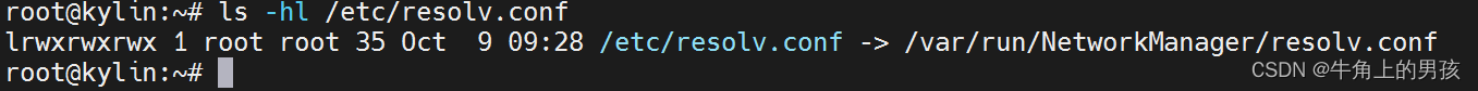 Kylin V4系统resolv.conf文件重启后被重置_resolve. conf配置文件每次重启被重置-CSDN博客
