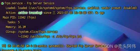 【笔记】-升级frps服务端版本_frp怎么更新版本-CSDN博客