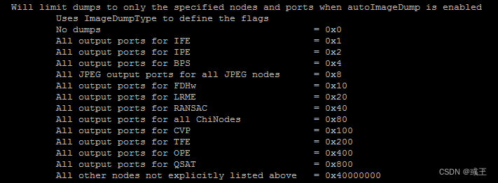 Camx架构开UMD、KMD log以及dump图的方式_camx dump-CSDN博客