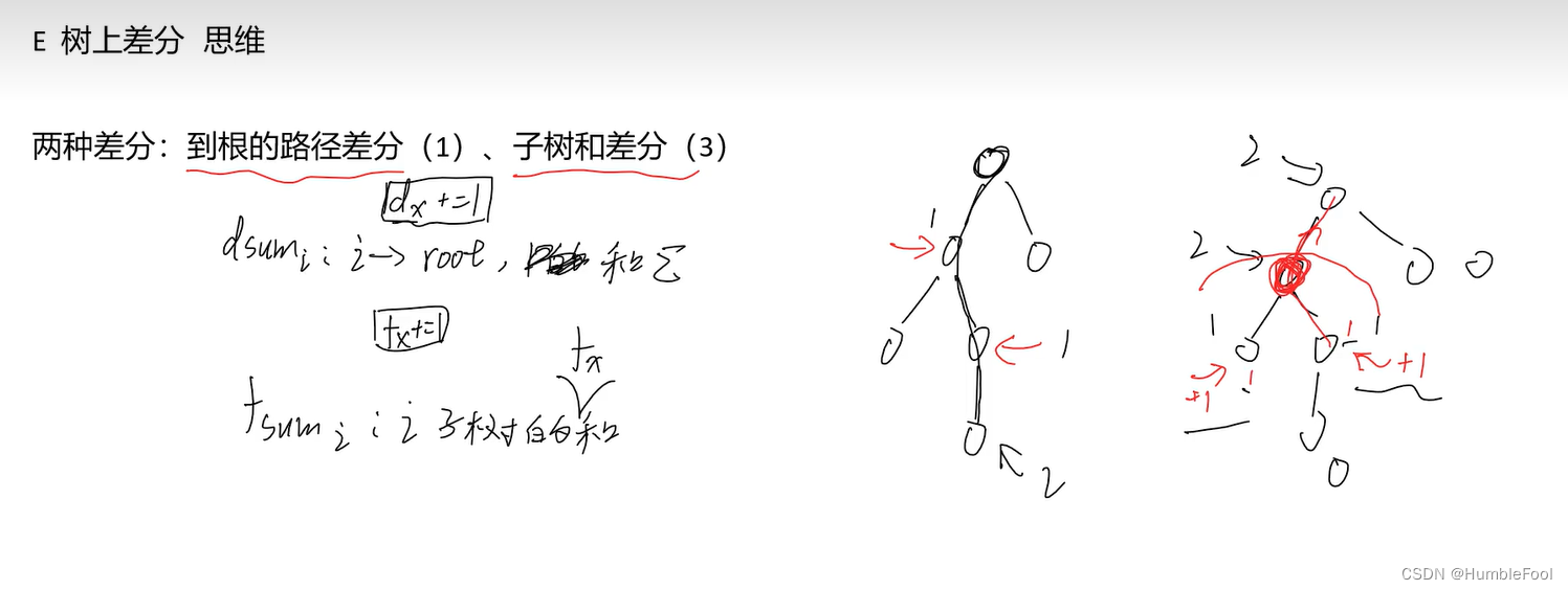 NewCoder 剖分_newcoder项目-CSDN博客