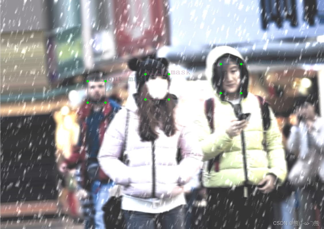 实战指南：利用imgaug进行目标检测任务的图像数据增强_imgaug数据增强-CSDN博客