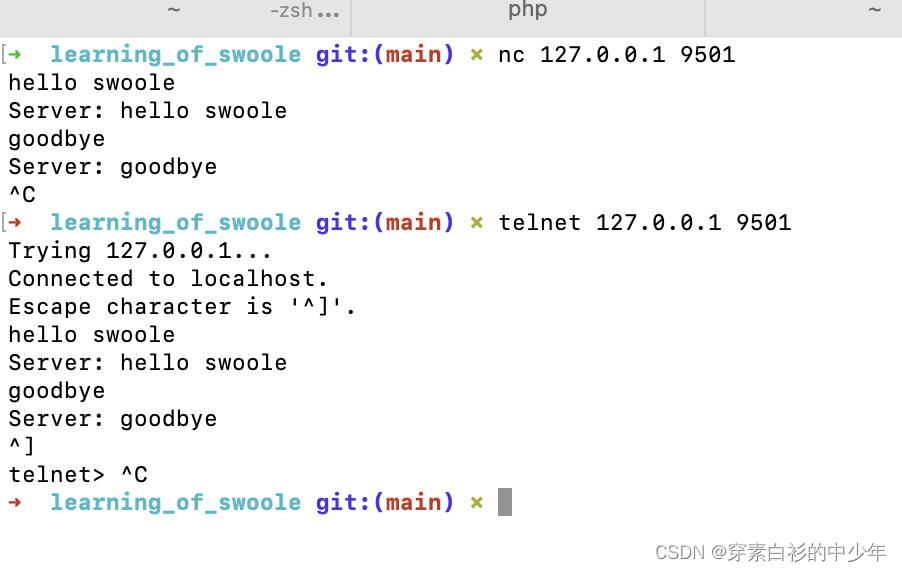 Swoole系列2 快速启动swoole启动服务 Csdn博客