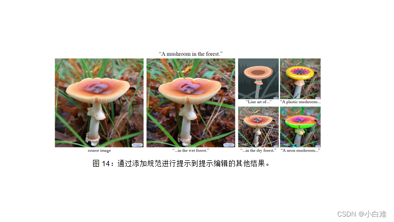 Prompt-to-Prompt Image Editing with Cross Attention Control-CSDN博客