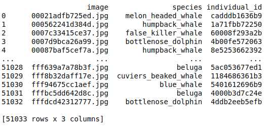 [pytorch] Kaggle大型图像数据集 数据分析+可视化_kangle数据集-CSDN博客