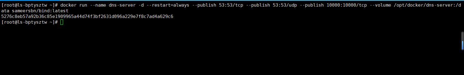 docker应用篇(9):搭建DNS服务器_dockerfile 中添加以下命令,使用 google 的 dns 服务-CSDN博客