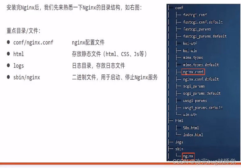 Nginx安装与导学_nginx pid安装_改完bug就睡觉的博客-CSDN博客