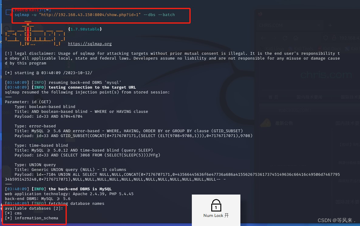 AWD攻防赛-WAF部署及效果测试_awd的waf-CSDN博客