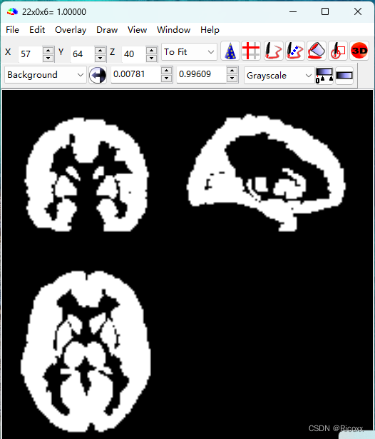 制作指定脑区的maks(包括重采样)_wfu pickatlas-CSDN博客