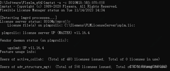 许可证远程管理_达索的dsls在哪下周-CSDN博客