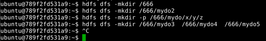 Hadoop的基本操作 第一章 使用常用的shell命令访问hdfshadoop列出子目录或子文件 Csdn博客