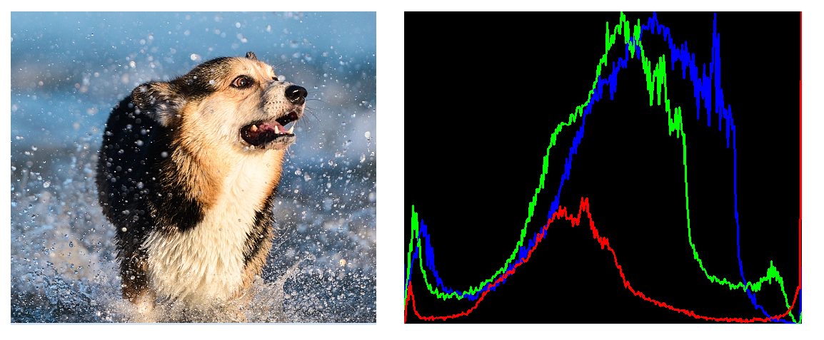 OpenCV4.3 Java 编程入门：图像直方图_java opencv直方图-CSDN博客