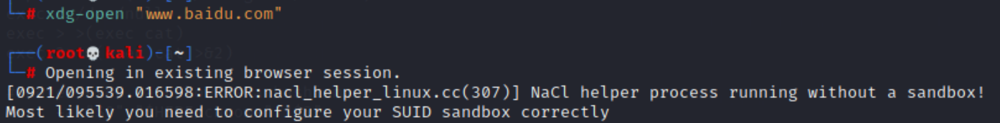 kali系统设置google-chrome为默认浏览器及解决 --no-sandbox 问题-CSDN博客