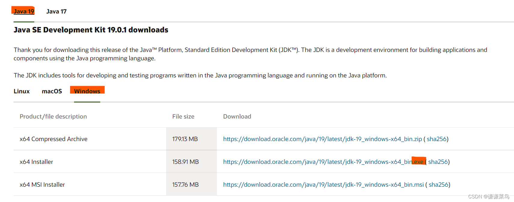 Java 安装_java installer和msi installer-CSDN博客