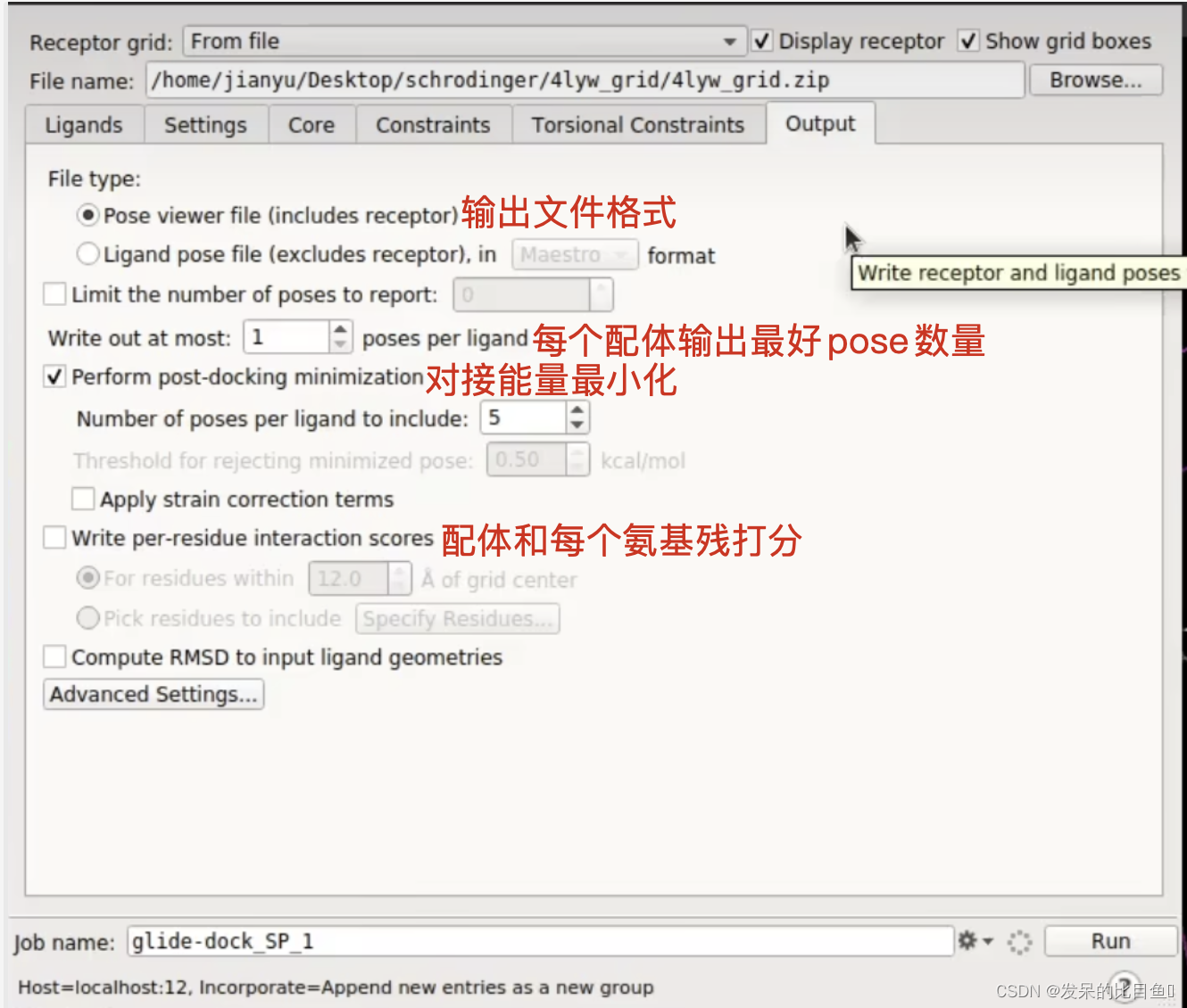 薛定谔软件教程--Glid对接（5）_glid dock-CSDN博客