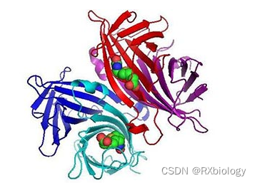 荧光Texas Red-streptavidin conjugate，Texas Red-SA,德克萨斯红标记链霉亲和素-CSDN博客