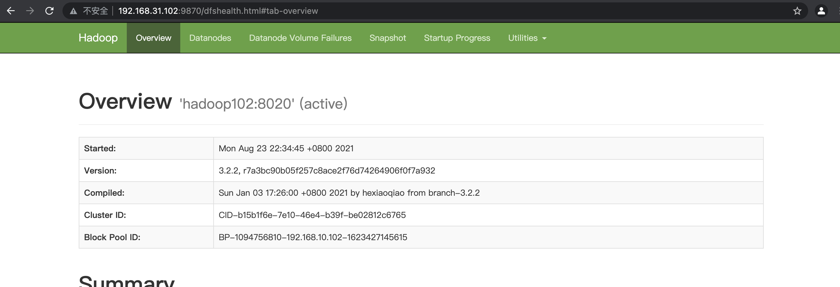 记录hadoop HDFS与hadoop YARN无法访问问题_hadoop安装成功后无法查看hdfs和yarn集群状态-CSDN博客