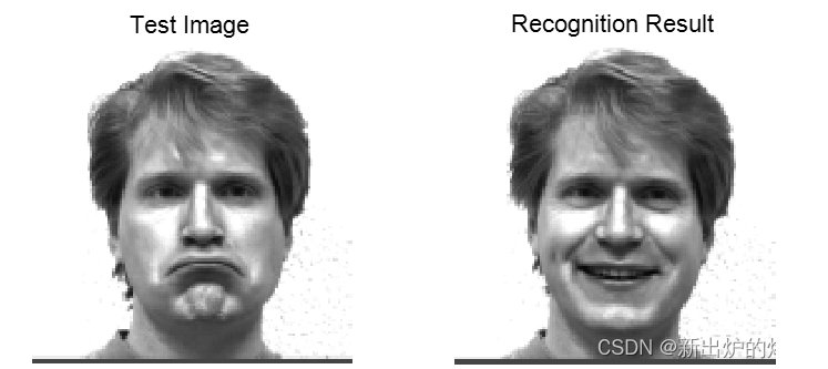 PCA和RPCA算法流程以及在人脸识别和噪声分离中的应用-CSDN博客