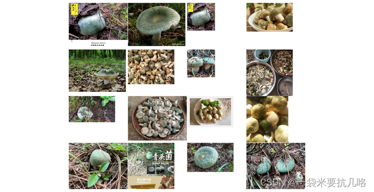 Task1：构建自己的图像分类数据如何构建自己的图像分类数据集代码示例 Csdn博客