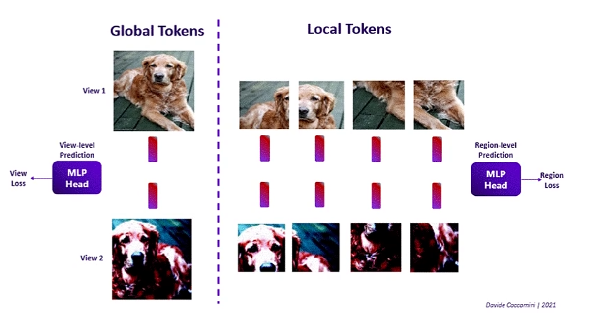 无监督学习、自监督学习之间的区别和联系？以及为什么要在Vision Transformer自监督学习？-CSDN博客