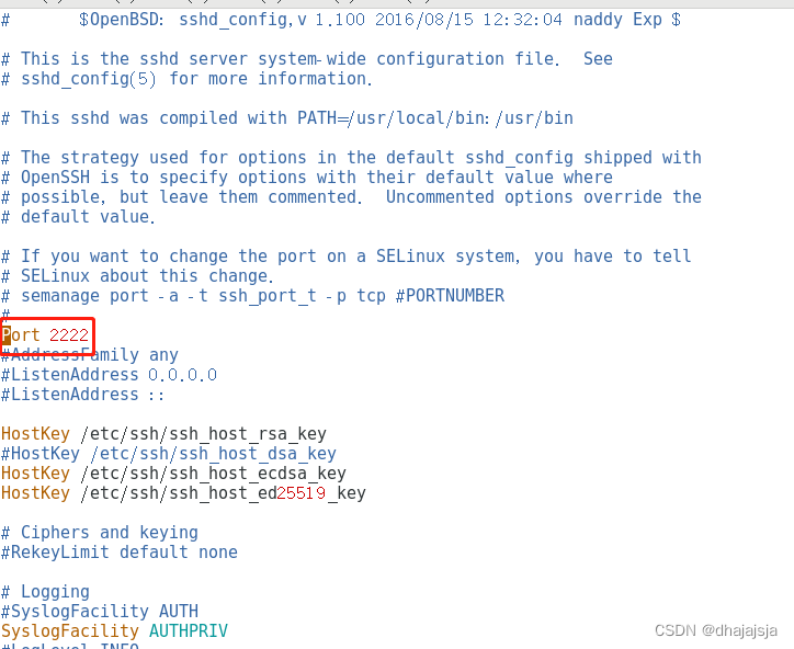 渗透入门Day10 SSH_openssh 渗透-CSDN博客