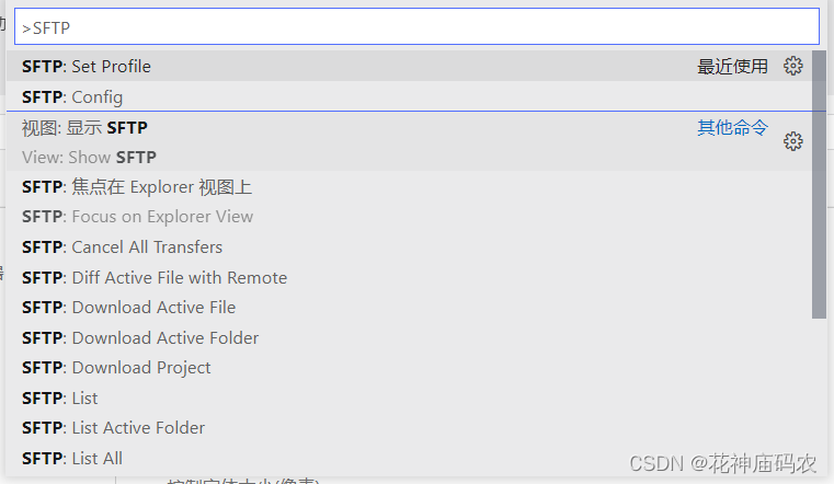 【开发工具】【windows】Visual Studio Code(VS Code)远程Linux服务器环境搭建——SFTP篇_vs code sftp-CSDN博客