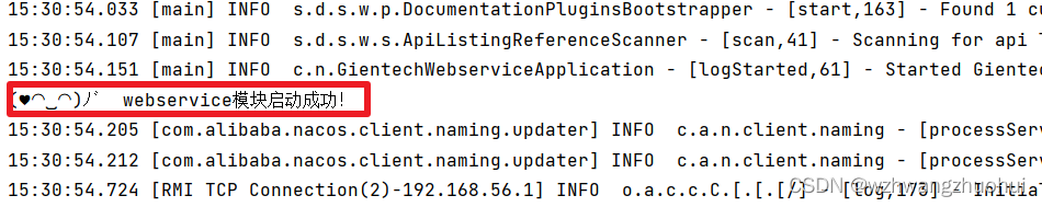 webservice：IllegalAnnotationsException: 2 counts of IllegalAnnotationExceptions-CSDN博客