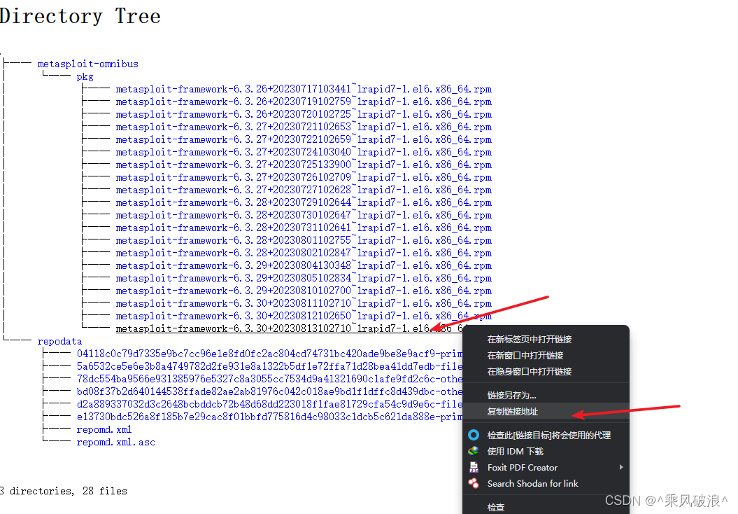 Centos 安装metasploitcentos7 Metasploit乘风破浪的博客 Csdn博客 8787