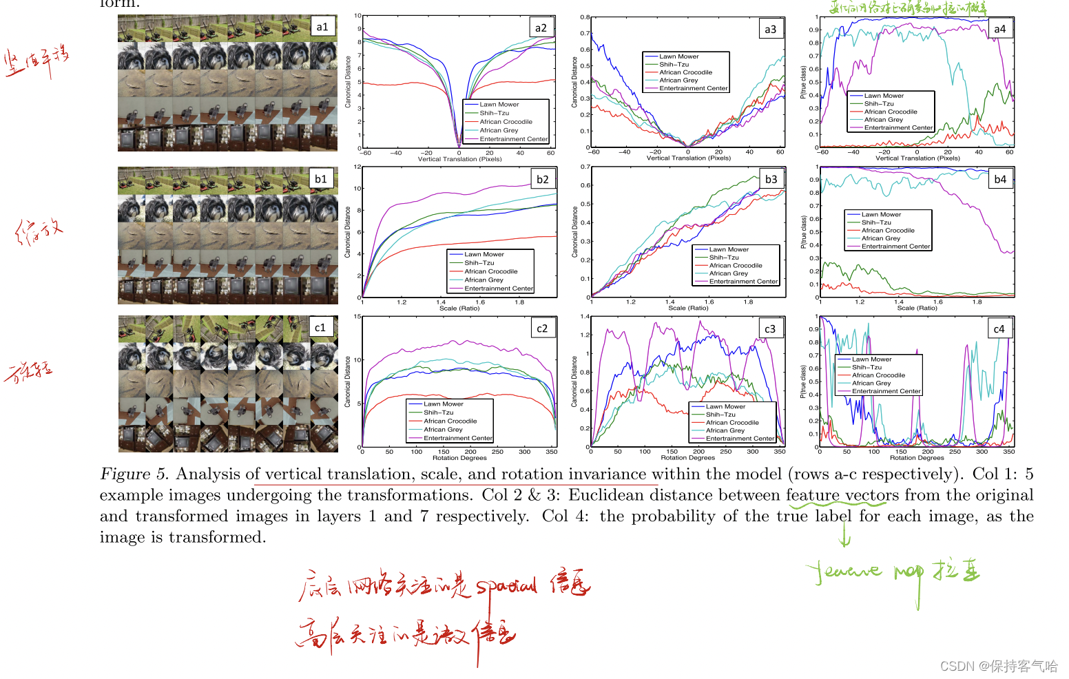 ZFNet详解_zf-net-CSDN博客