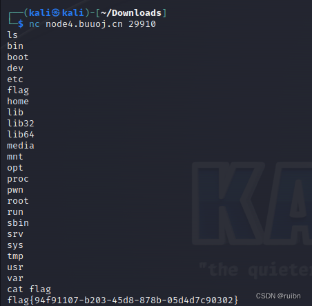 刷题 - BUUCTF(BUUOJ) - PWN - DAY3_buuoj pwn-CSDN博客