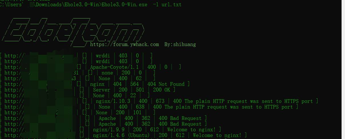 EHole 指纹探测工具——使用教程-CSDN博客