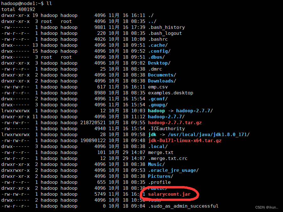 hadoop 运行jar包_hadoop运行jar包命令-CSDN博客
