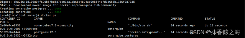 Docker Compose部署sonarqube服务 Docker Compose Sonarqube Csdn博客