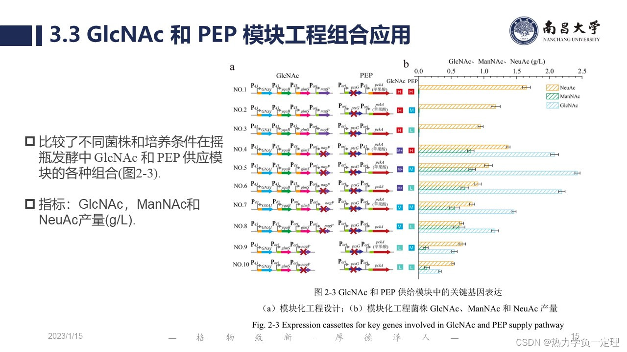枯草芽孢杆菌 NeuAc 合成途径的构建和模块化优化--文献总结-CSDN博客
